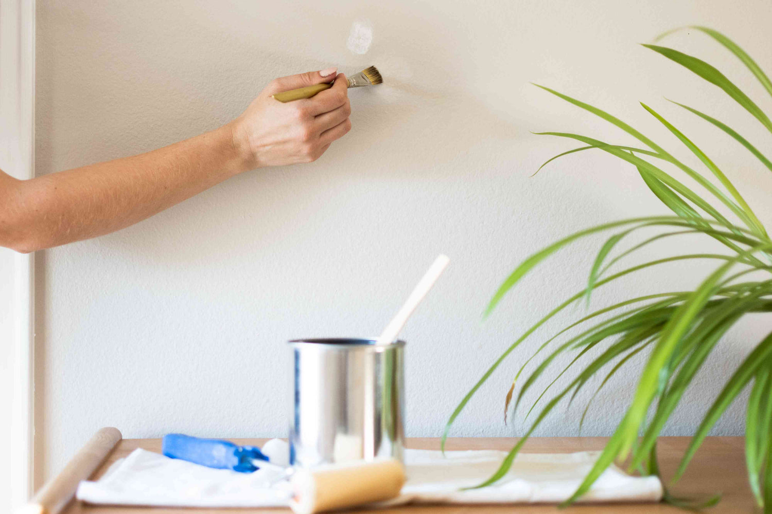 FAQs About Paint Touch Up Matching After Years of Wear – Randall's