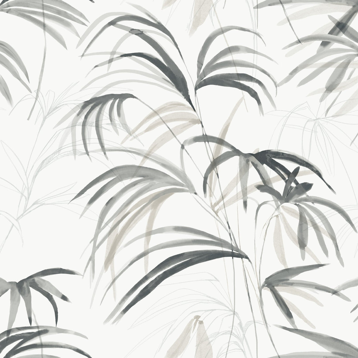 Inky Palms BLACK – Randall's