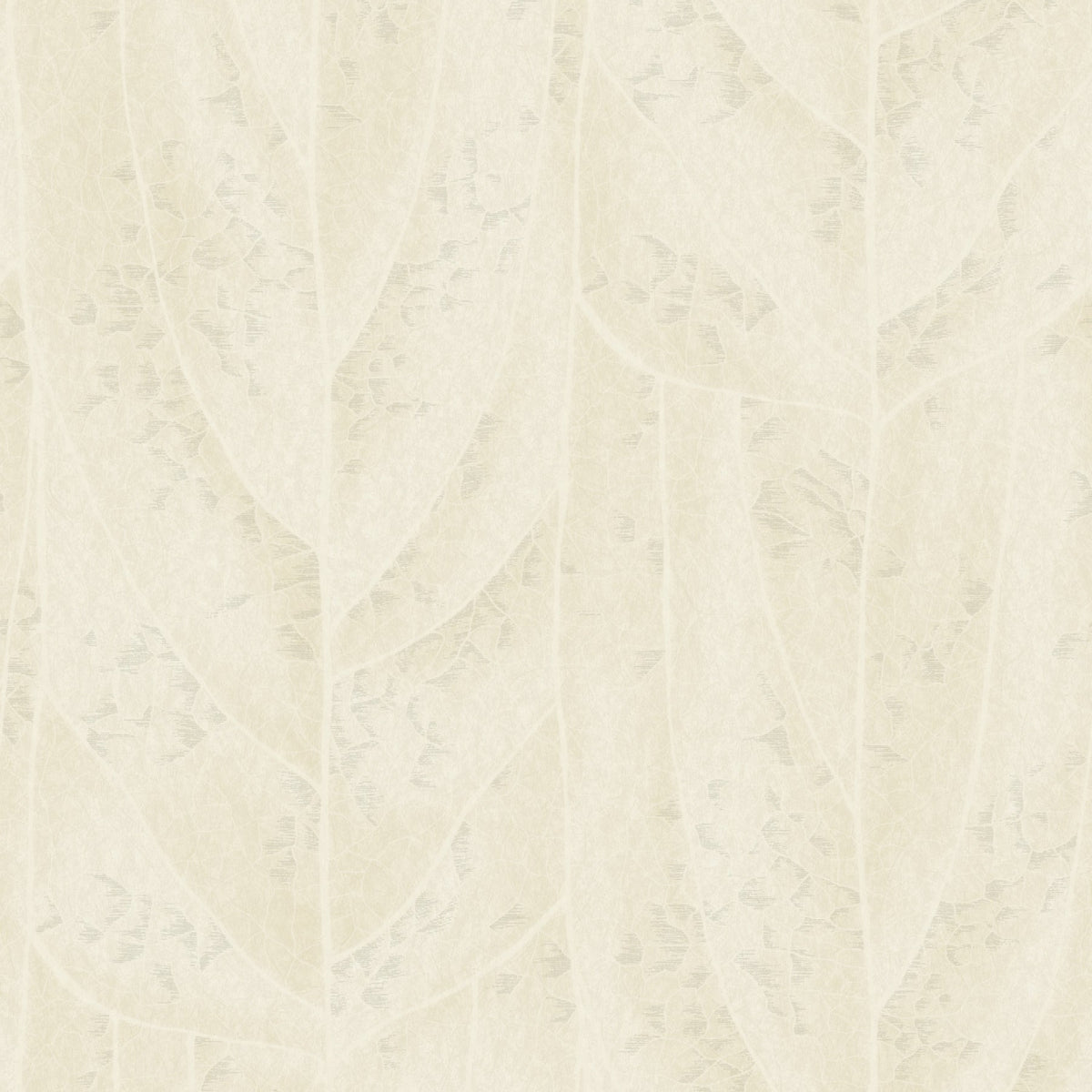 Dicot Spa Leaf PEARL – Randall's