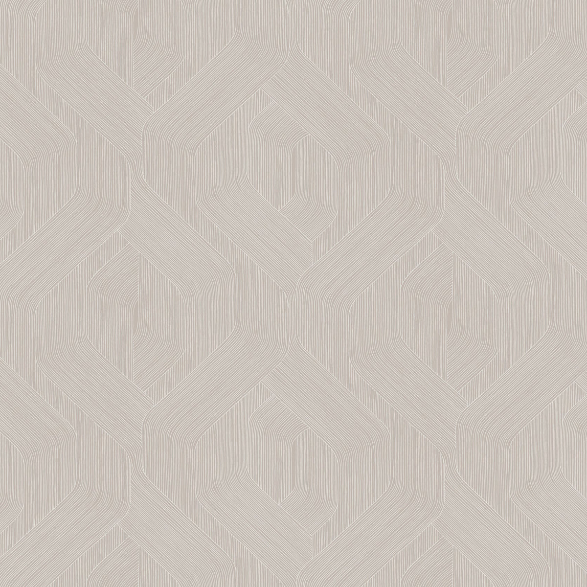 Fine Line TAUPE – Randall's
