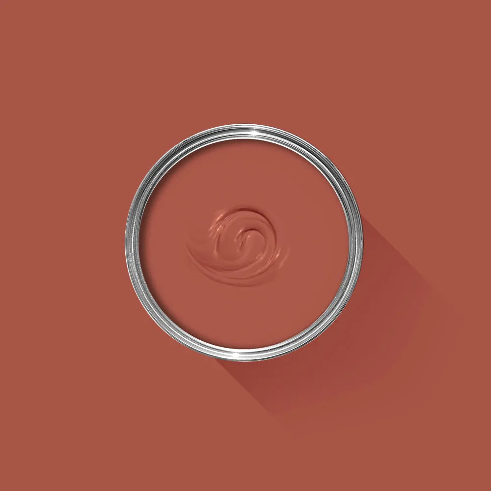 Bamboozle No. 304 - Farrow & Ball Paint – Randall's