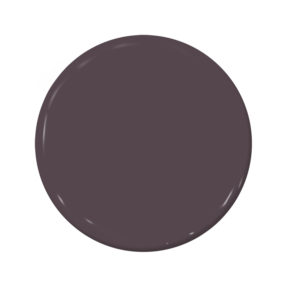 C2-501 Wicked - C2 Paint – Randall's
